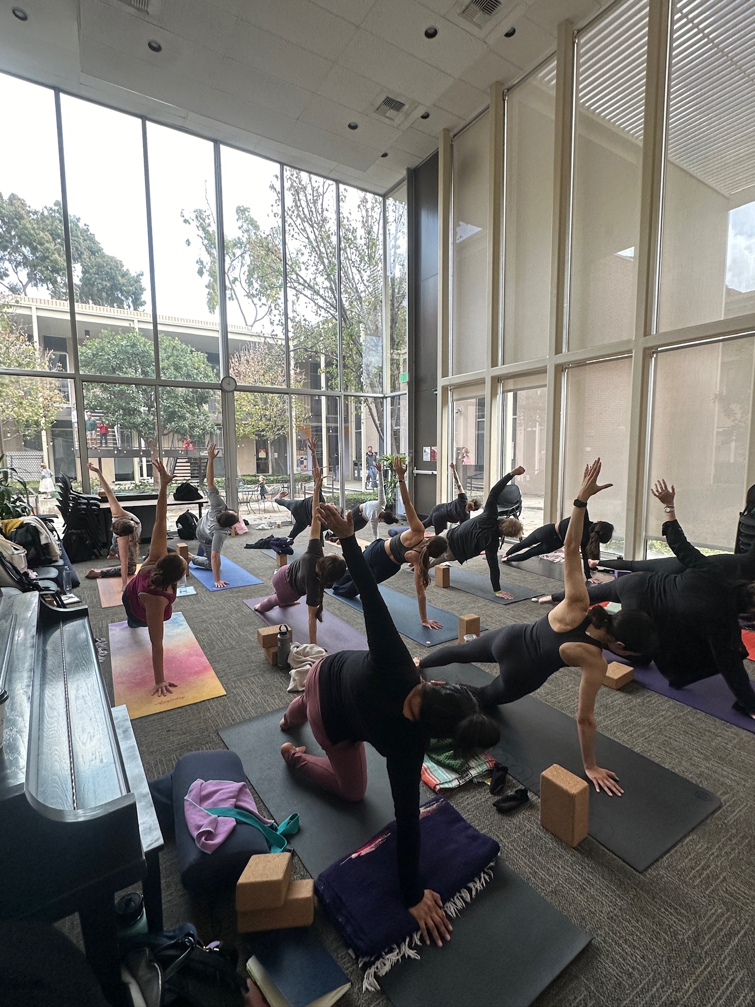 Free yoga classes!